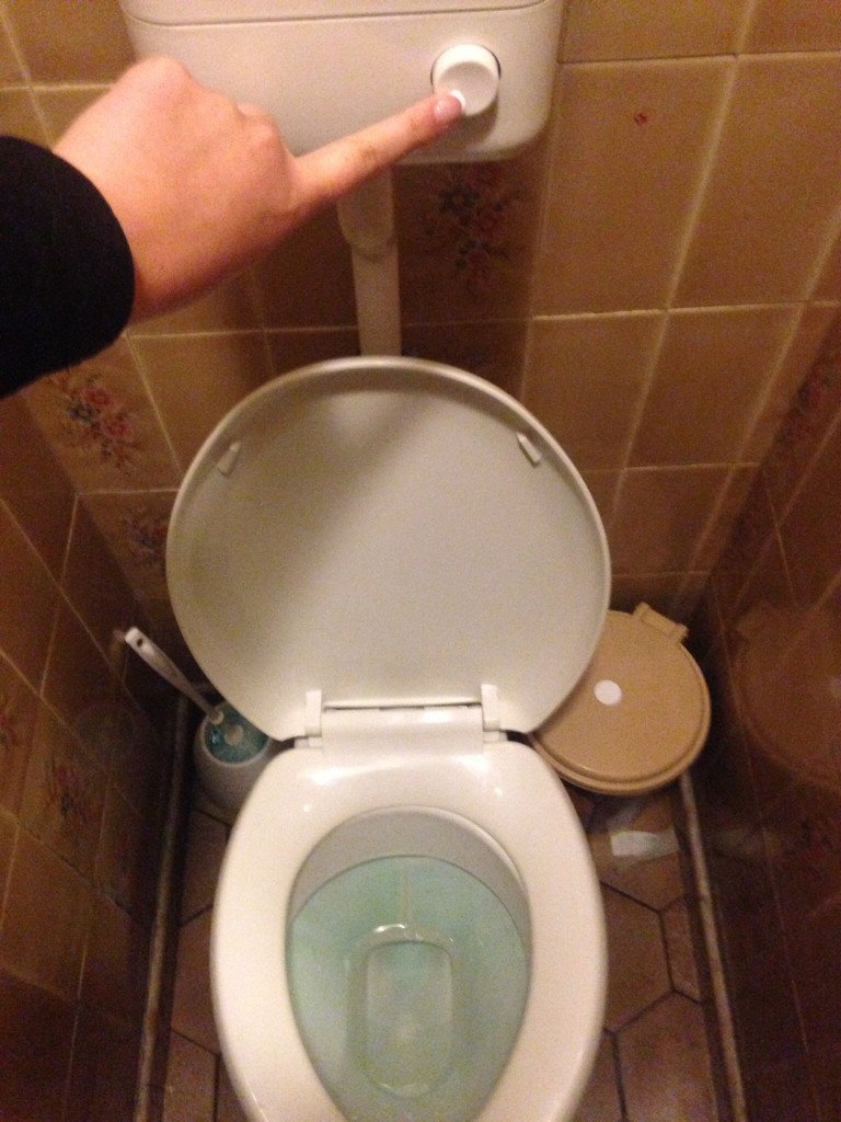 Les toilettes de France - Paris, France: Comparative Arts & Special ...